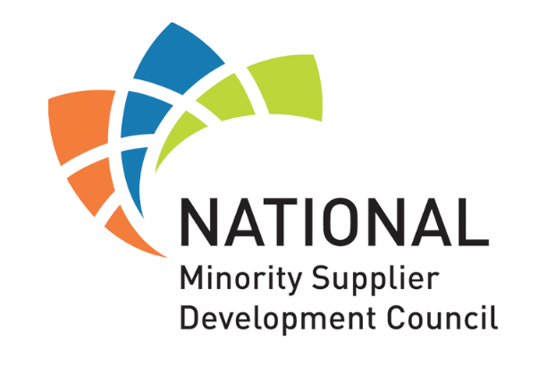 About - TechSoft Systems